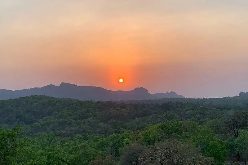 Explore the Best Hotels & Resorts in Pachmarhi